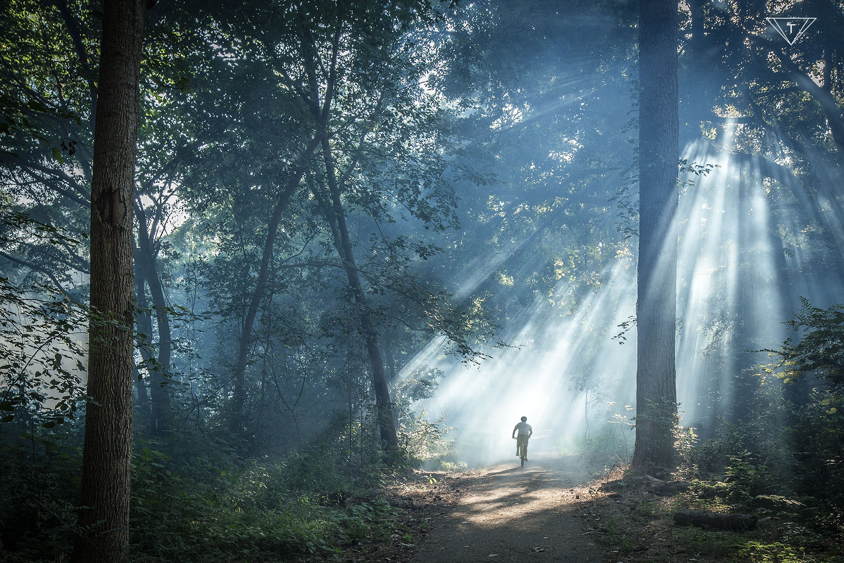 Terry Vine Photography | Lifestyle, Advertising and Commercial Photographer